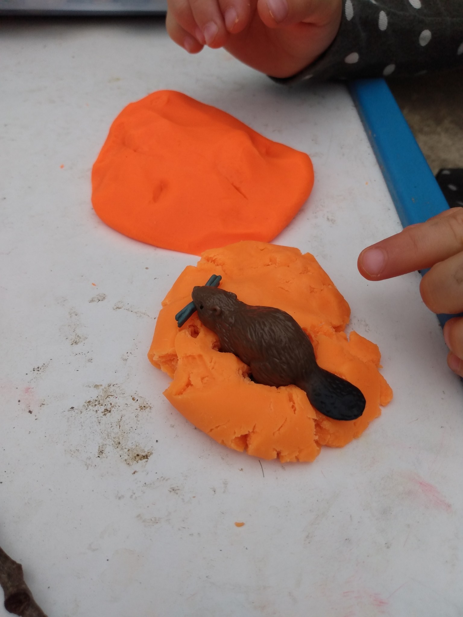 20 + Camping Themed Activities for Toddlers with Printable – The ...