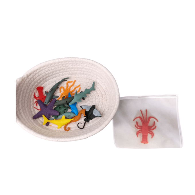 20+ Beach Themed Toddler Activities – The Teaching Nanny