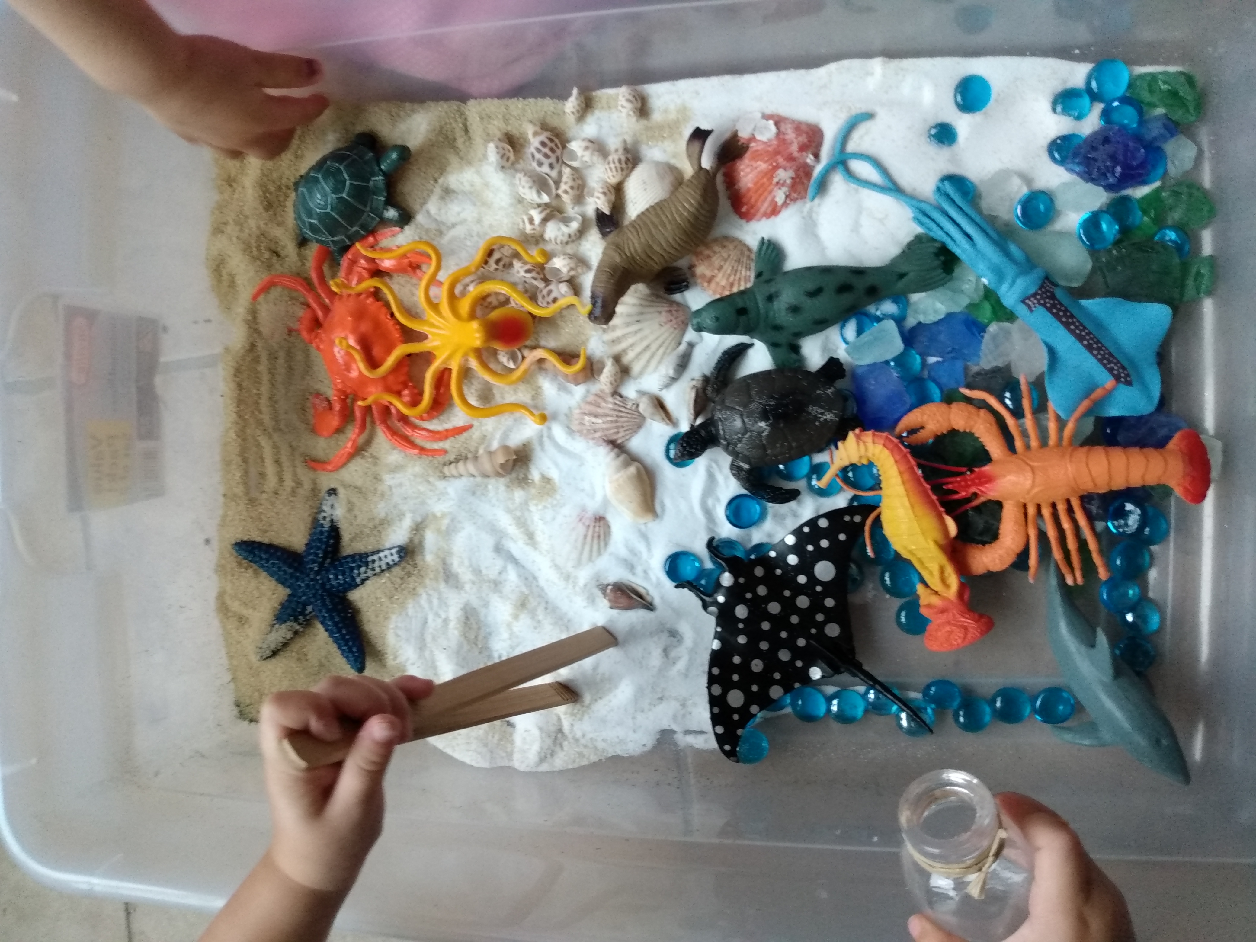 20+ Beach Themed Toddler Activities – The Teaching Nanny