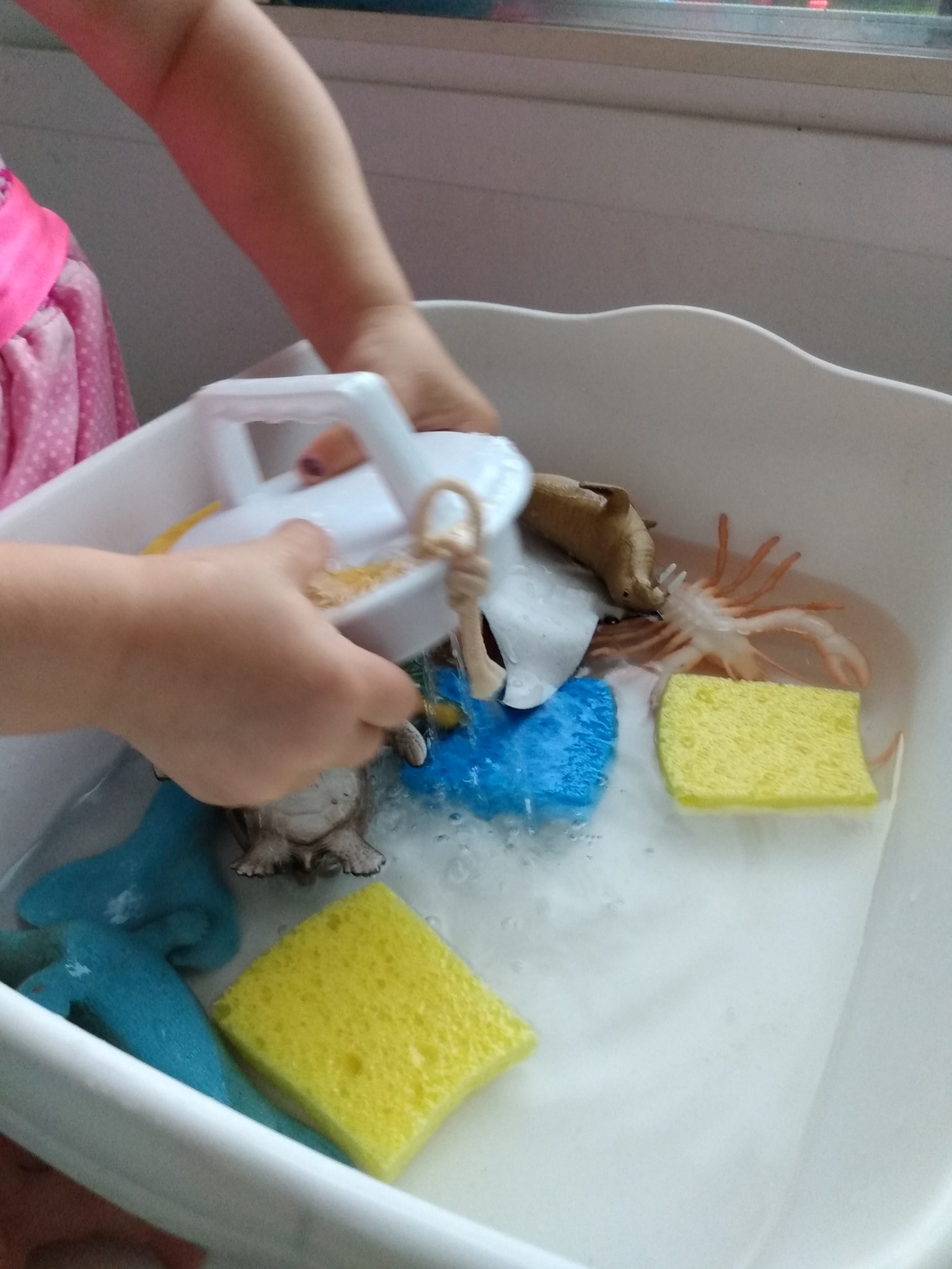 20+ Beach Themed Toddler Activities – The Teaching Nanny