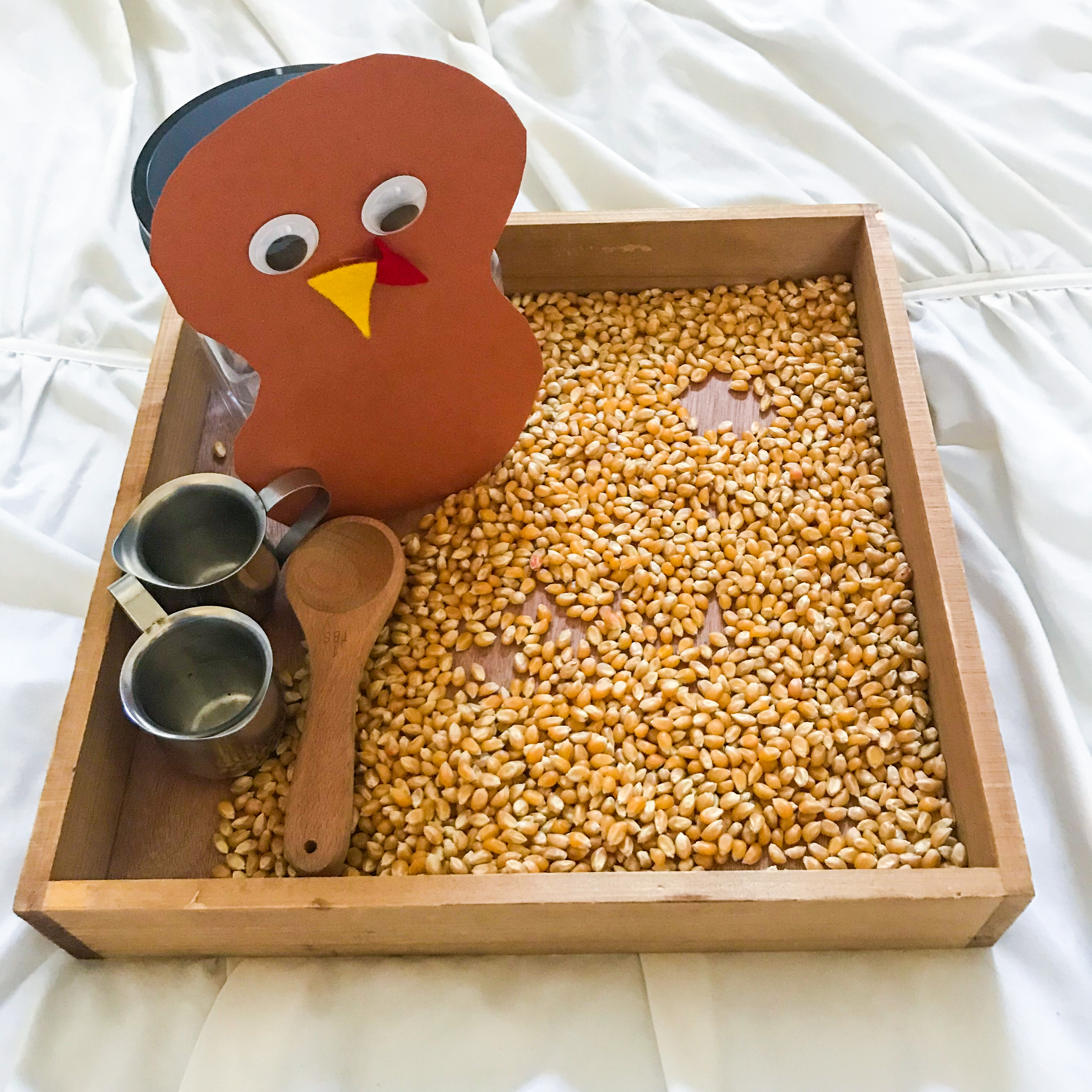 Ten Thanksgiving Themed Fine Motor Activities – The Teaching Nanny