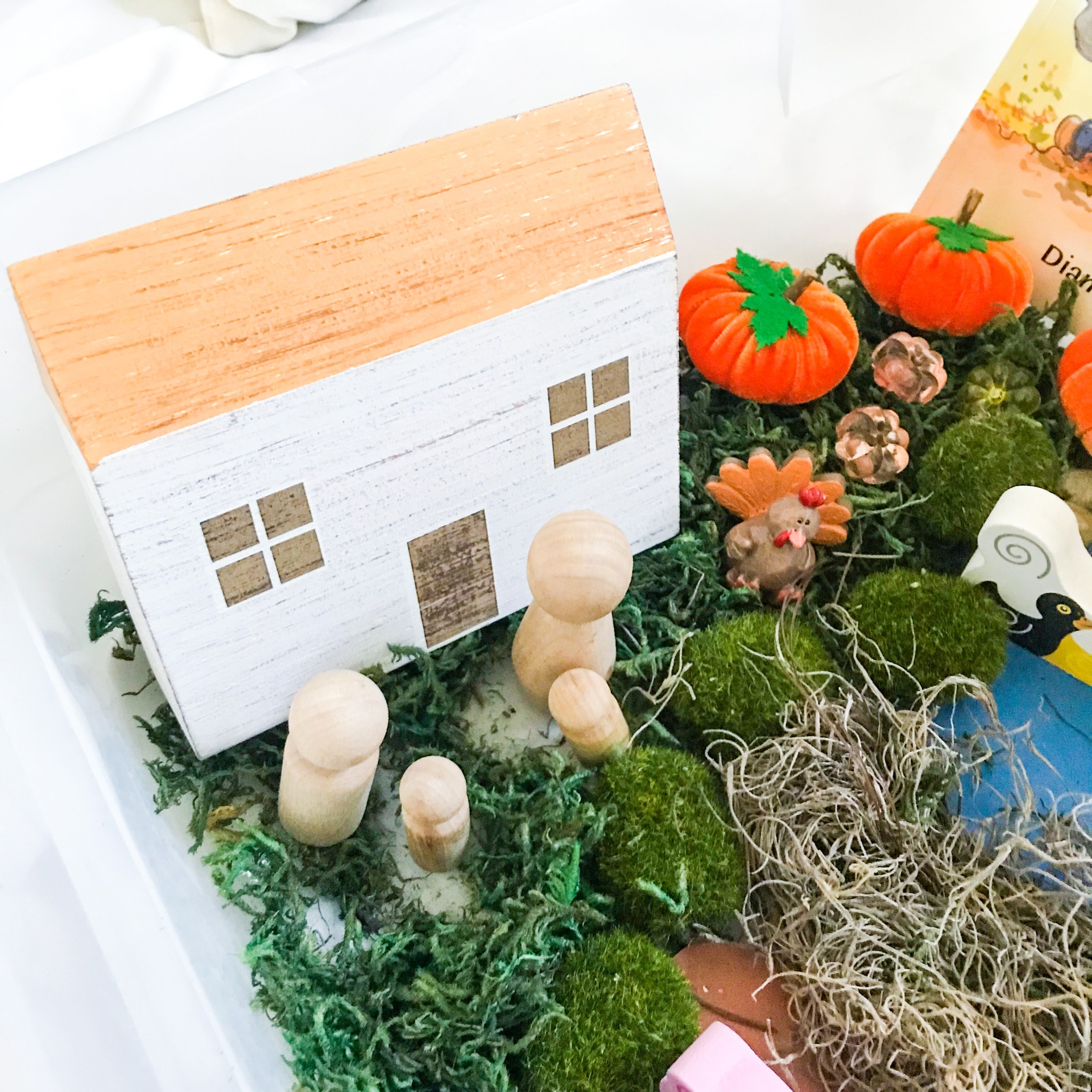 5 Extension Activities Using Run Turkey Run – The Teaching Nanny