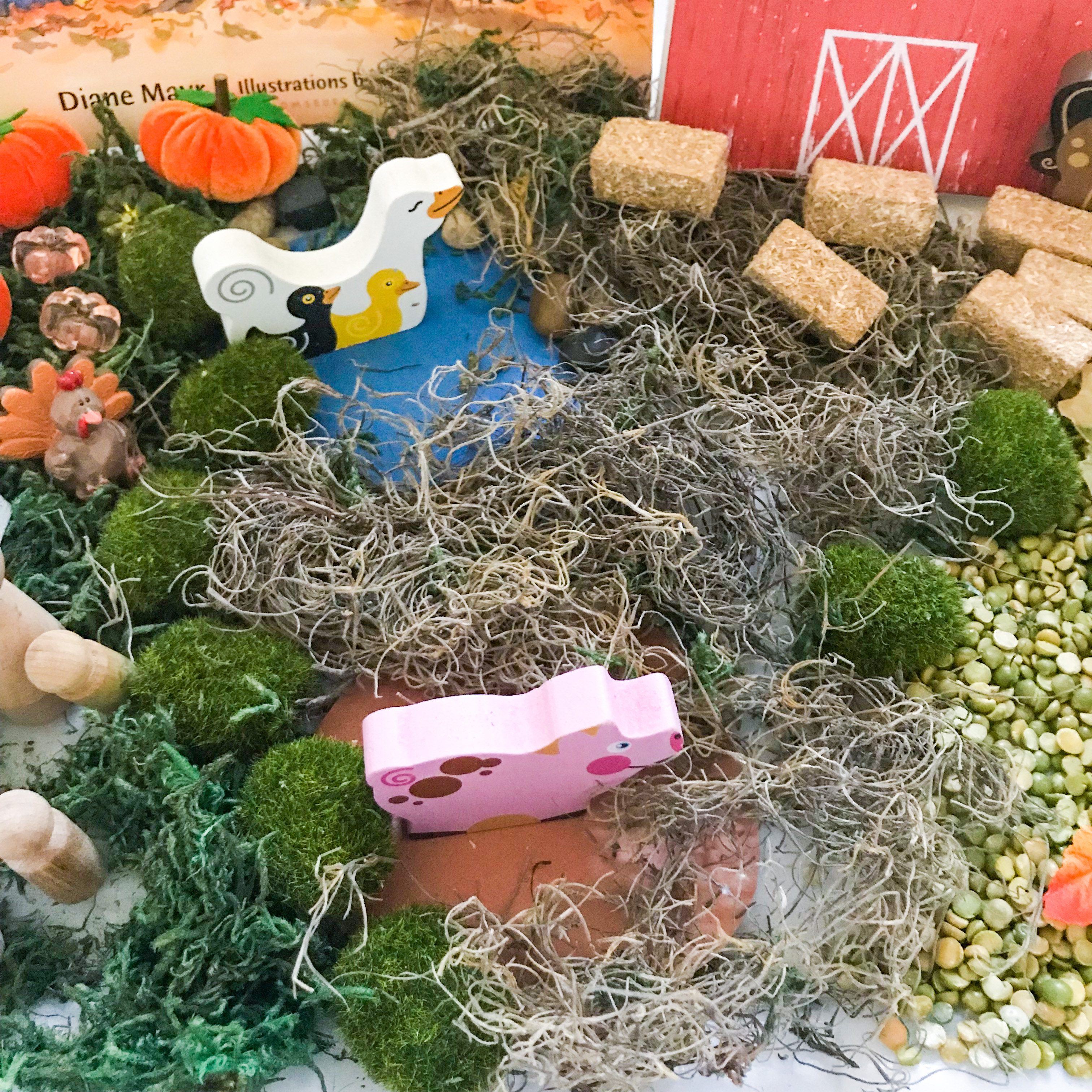 5 Extension Activities Using Run Turkey Run – The Teaching Nanny
