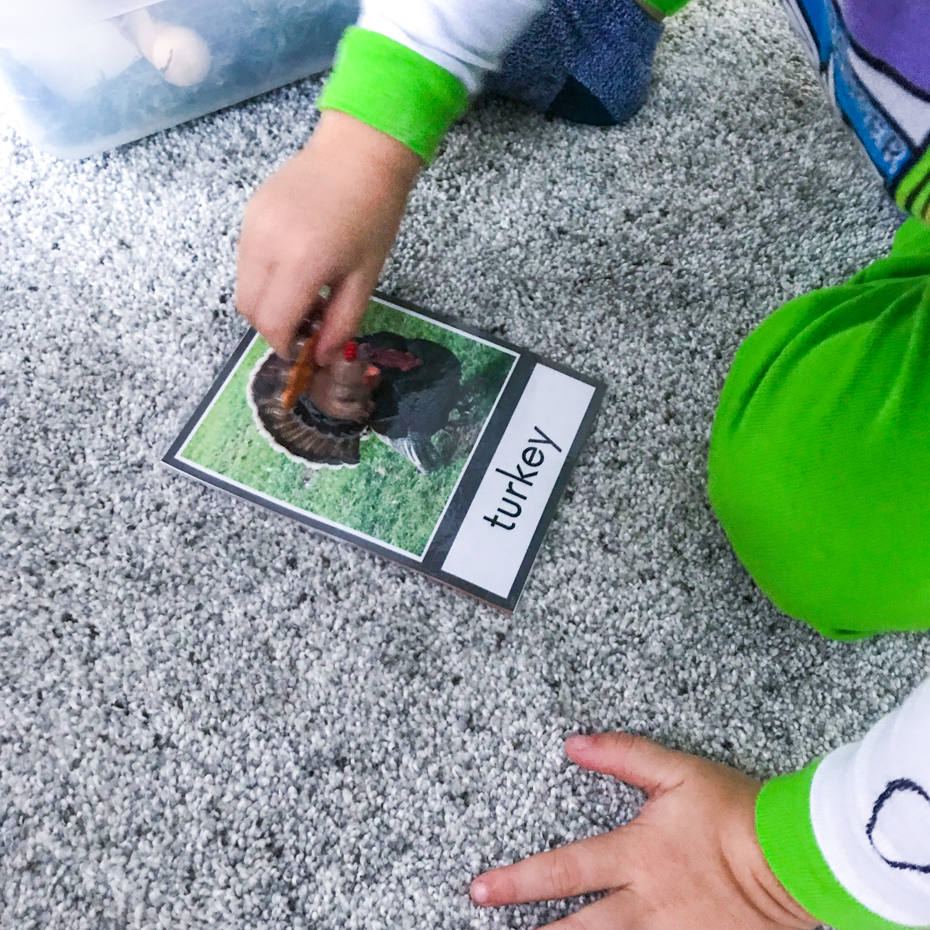 5 Extension Activities Using Run Turkey Run – The Teaching Nanny