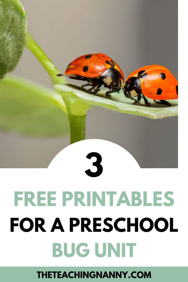 3 Free Printables for a Preschool Bug Unit – The Teaching Nanny