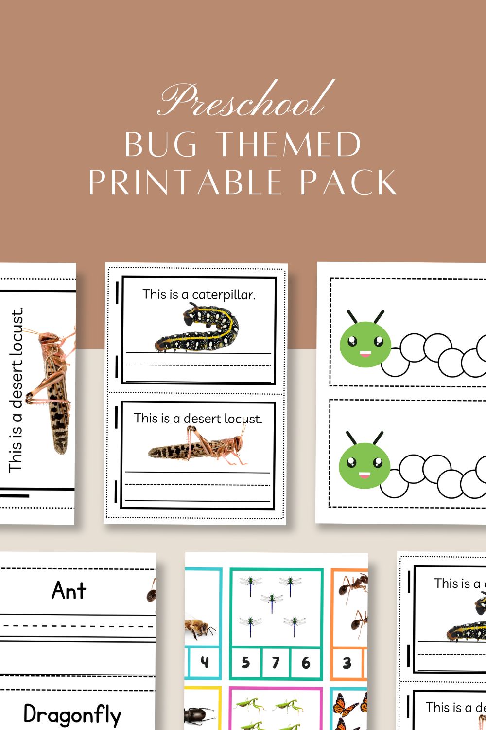 Preschool Bug Themed Printable Pack – The Teaching Nanny